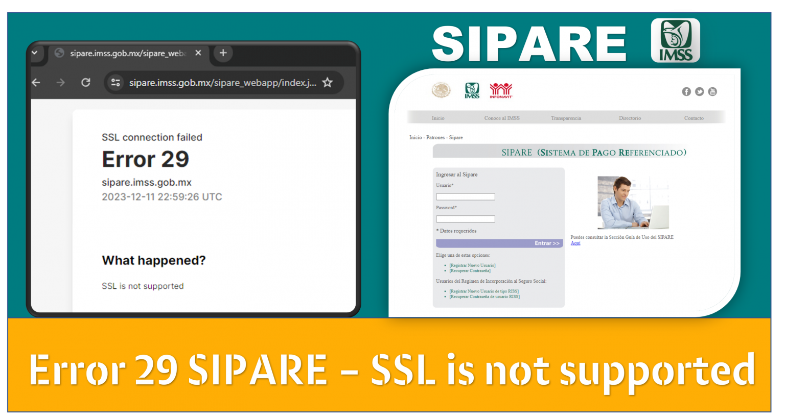 Error 29 SIPARE: ¿Cómo solucionarlo? | Te-5 | Soluciones Empresariales en TI